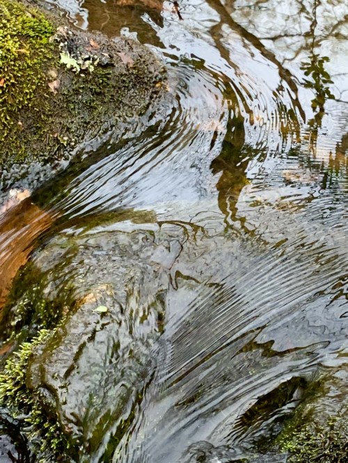 Why Cropping into your Photos can Save your Shots | At Home with Tech