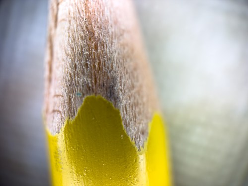 How to Turn Your iPhone into a Microscope for Incredible Close-Ups | At ...