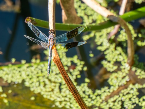 Family Vacation Activities Near Delray Beach, Florida | At Home with Tech