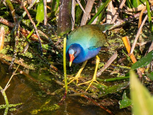 Family Vacation Activities Near Delray Beach, Florida | At Home with Tech